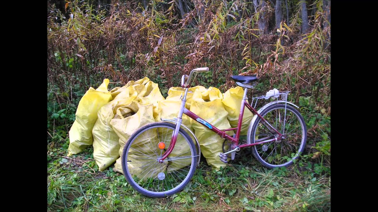 Plastic pollution in Latvia - YouTube