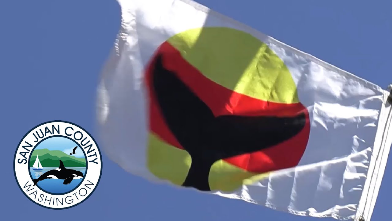 The importance of Whale Flags - San Juan County Environmental ...