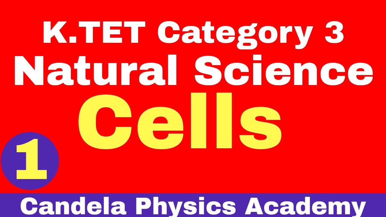 K.TET Category 3 Natural Science|Cells|KTET previous year question ...