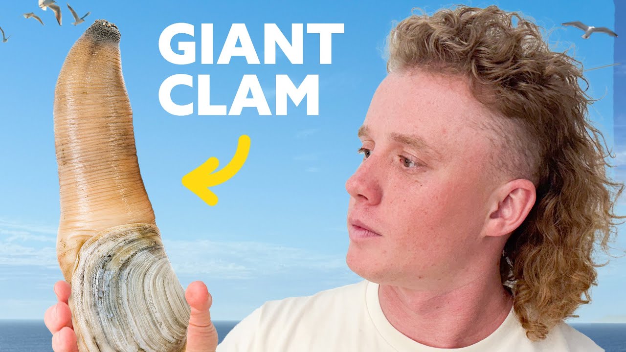 Harvesting Washington's Most Exotic Shellfish - YouTube