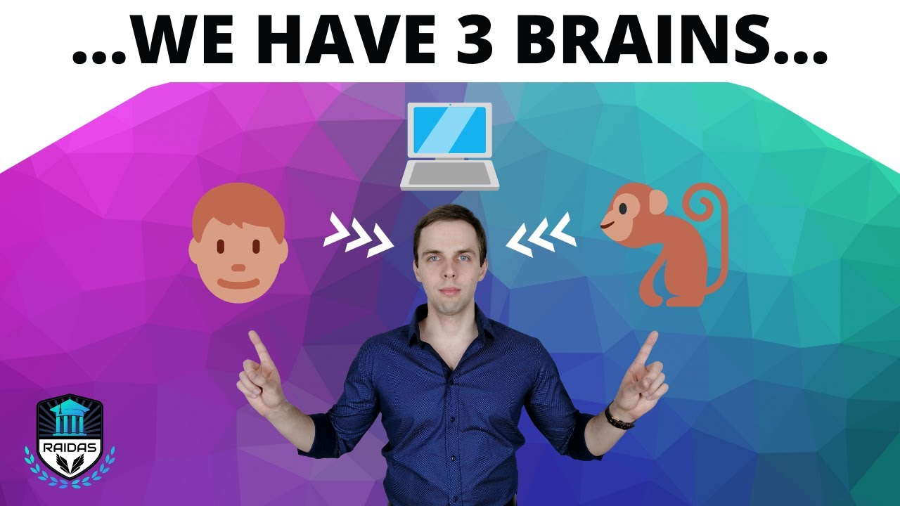 🧠 How The BRAIN Works (Psychology of The Brain & Human Behavior) - YouTube