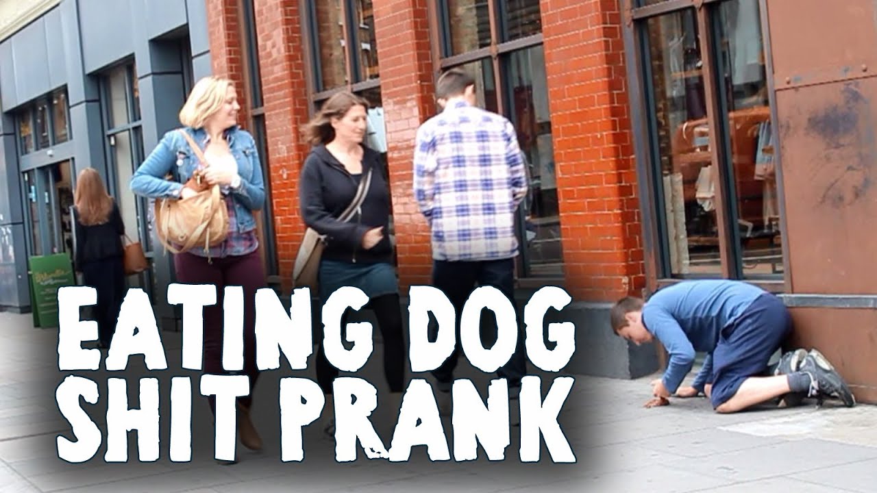 Eating Dog Shit Prank - YouTube