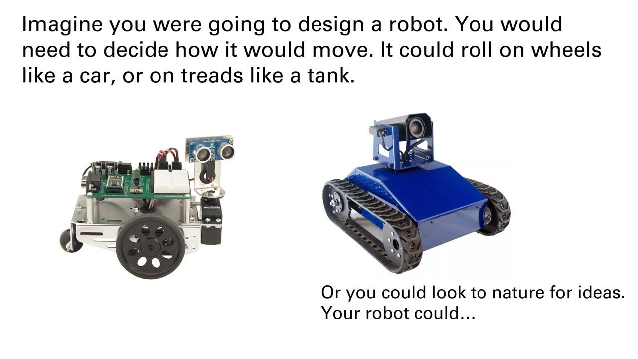 What is a Robot (for kids) - YouTube