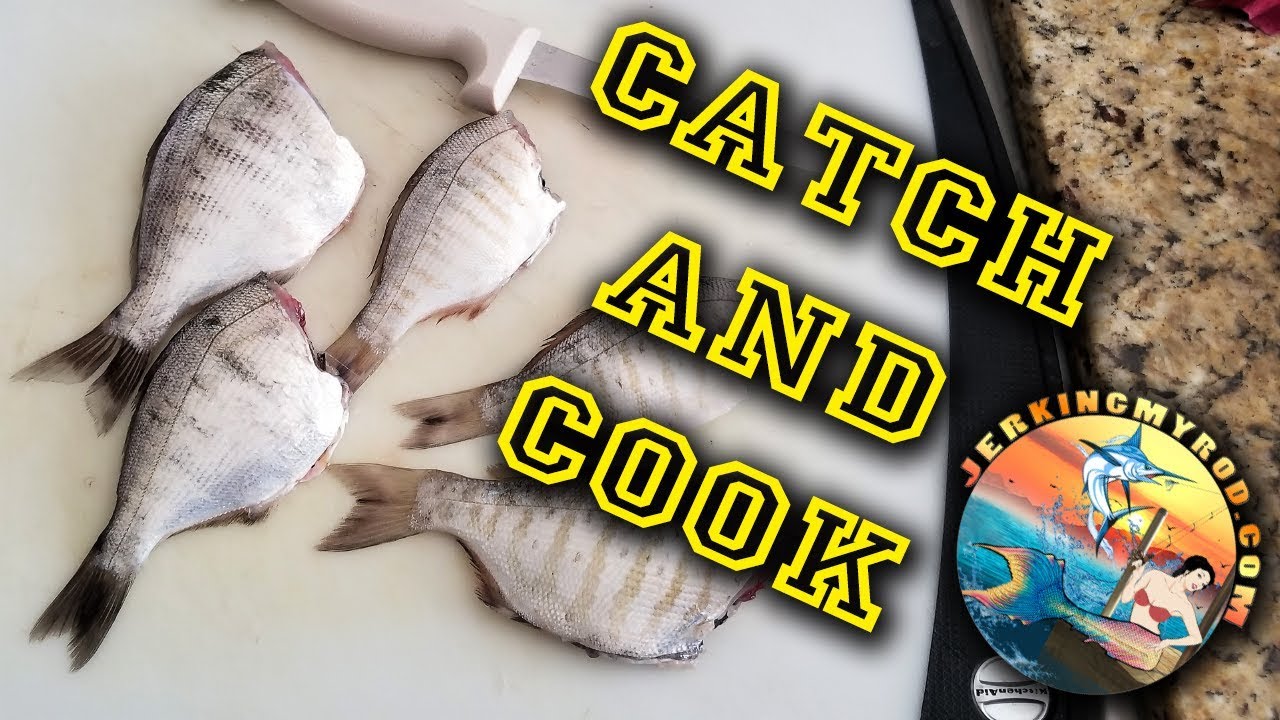 Catch and Cook Surf Perch Southern California Surf Fishing - YouTube