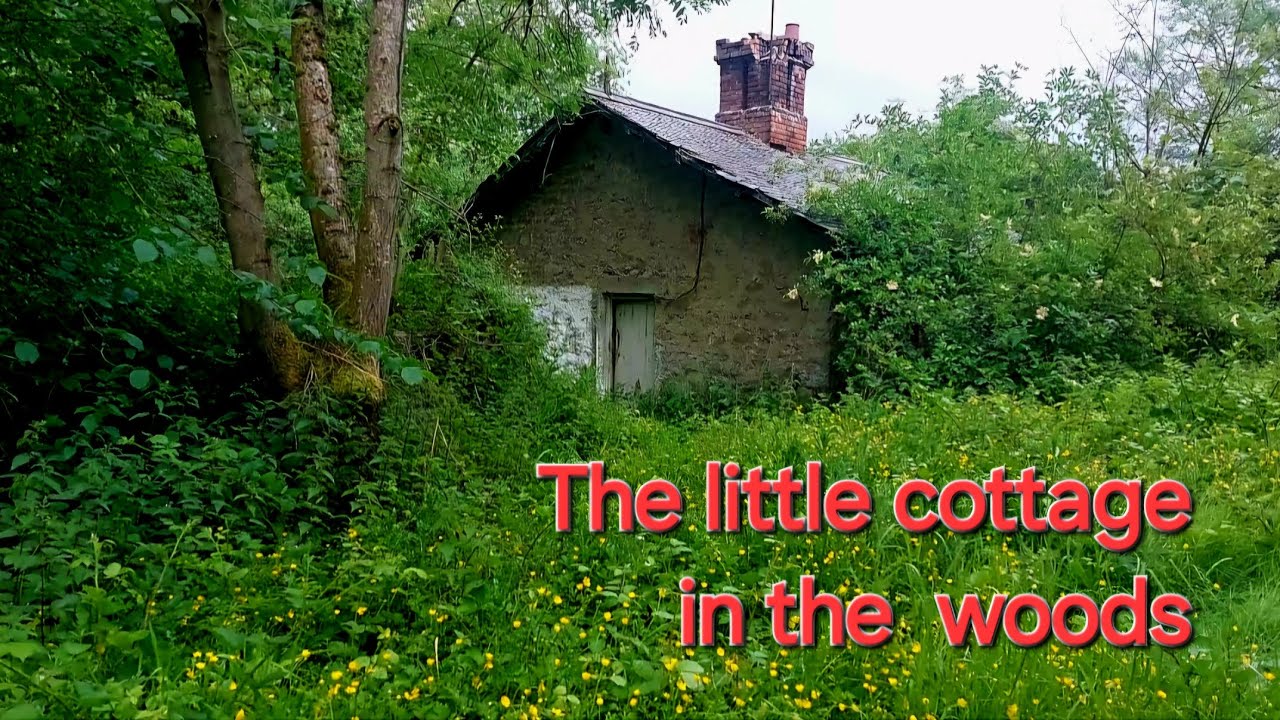 The Abandoned Little Cottage In The Woods - YouTube