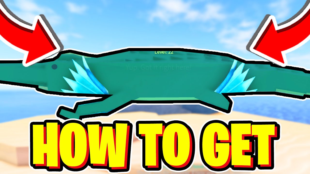 How To GET ALLIGATOR In Fisch! Roblox - YouTube