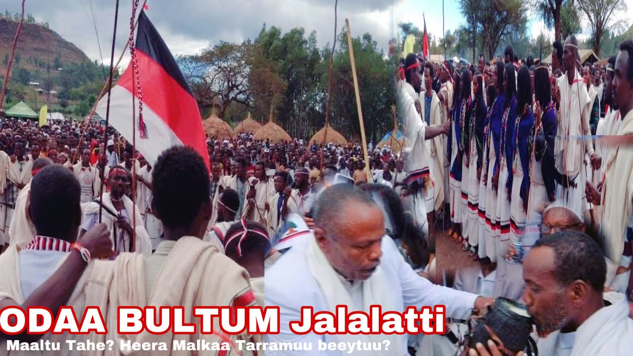 Odaa Bultum maalif Odaa Heeraan Hangafaa jedhame? - YouTube