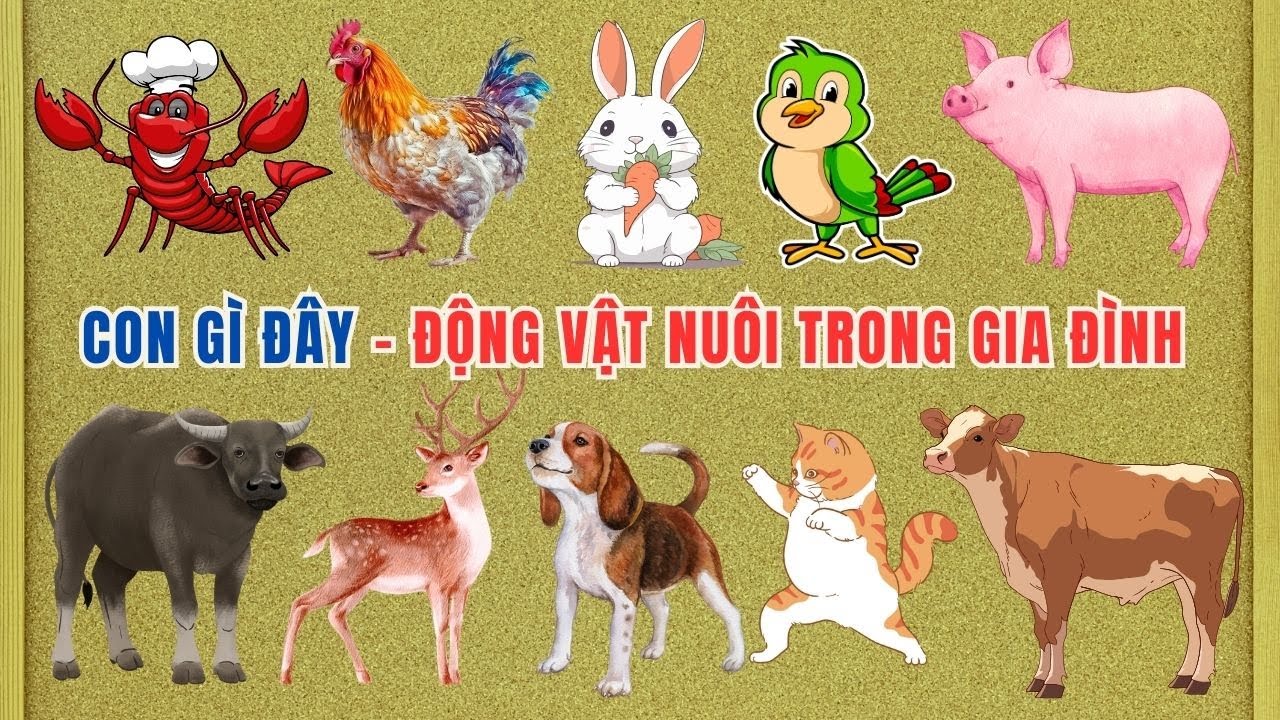 Dạy Bé Học Các Con Vật Nuôi Trong Gia Đình | Dạy Bé Học Nhận Biết Các ...