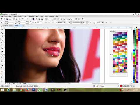 tutorial membuat wpap untuk pemula #1 - YouTube