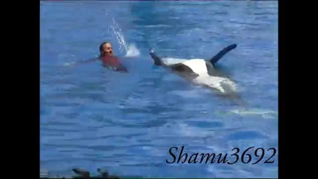 Unna and Dawn Brancheau in Shamu Adventure Seaworld Orlando - YouTube