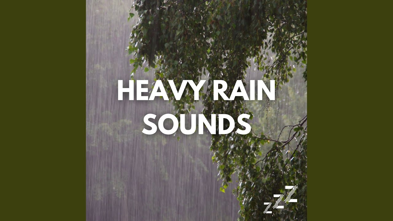 Soothing Rain Loop - YouTube Music