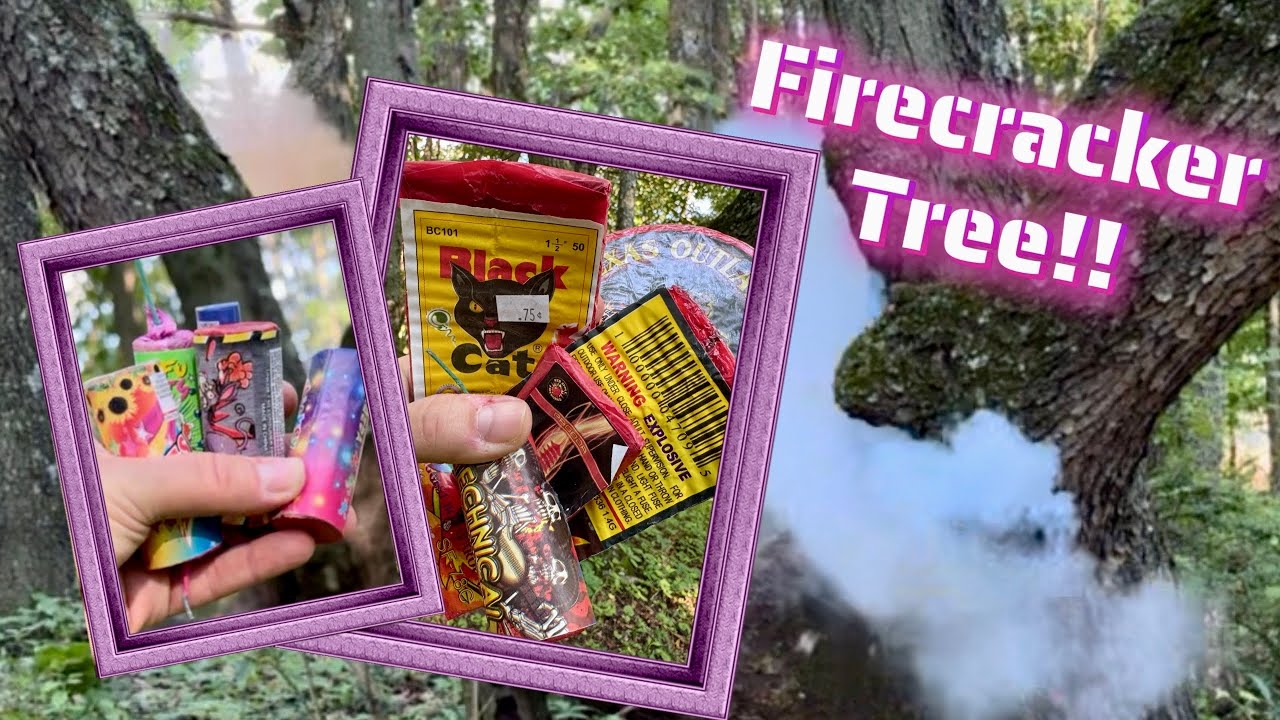 Lighting Firecrackers At The FIRECRACKER TREE!! - YouTube
