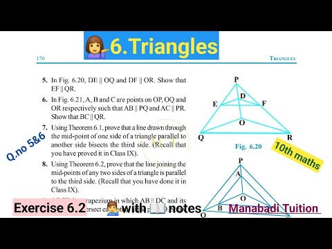 10th class math| Chapter 6| Triangles| 🤷Exercise 6.2 |💁‍♂️Q no 5&6|with ...