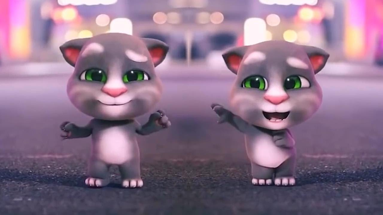 TIKTOK TALKING TOM CAT🎵 Talking Tom Dancing Cute Baby Tom, Tom Cat ...