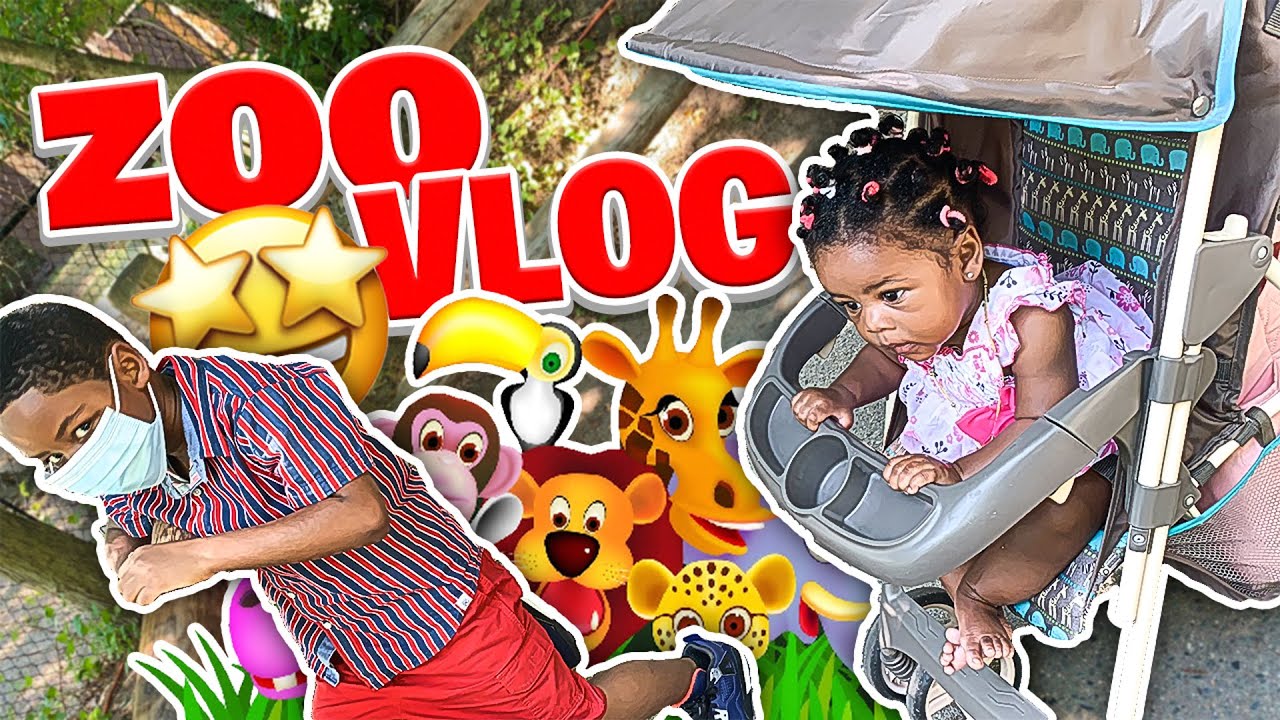 ZOO VLOG WITH FAMILY 🦁🐻🐯🐒🦅🦉🐍🐢🦓🦍🦒🐘🐅🐆🦥 - YouTube