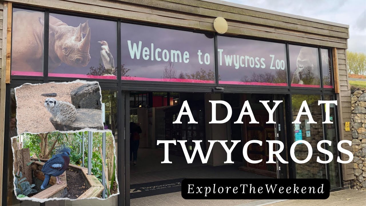 Twycross Zoo: A Leicestershire Gem? - YouTube