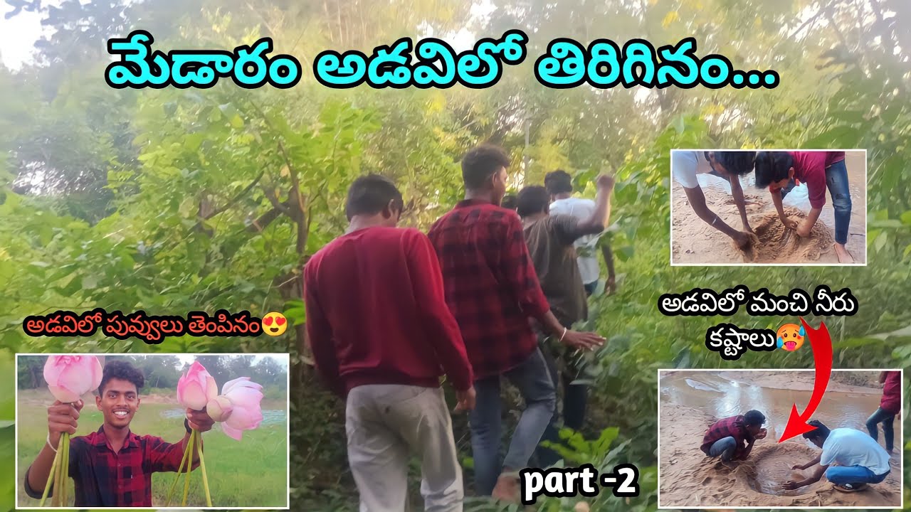 Medaram jathara vlog -2 ll మేడారం అడవిలో తిరిగినం beautiful lotus ...