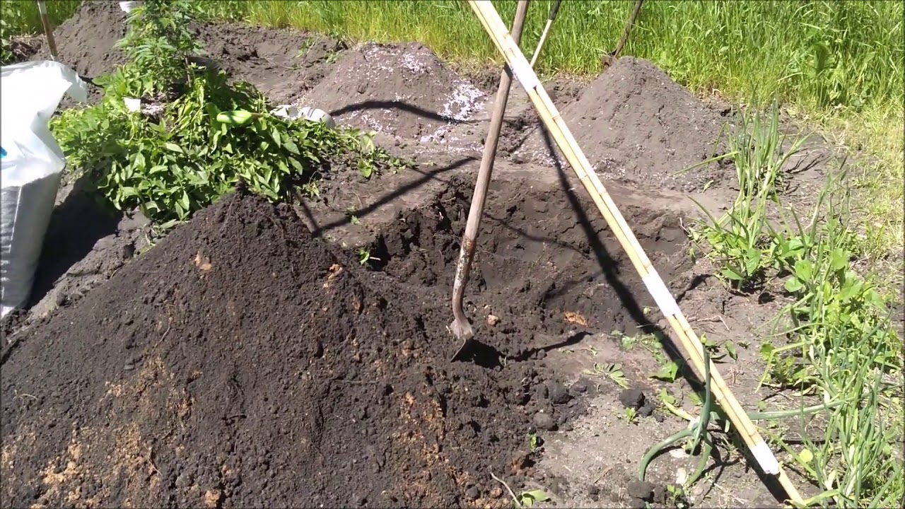 Garden Mounds Planting | Fasci Garden