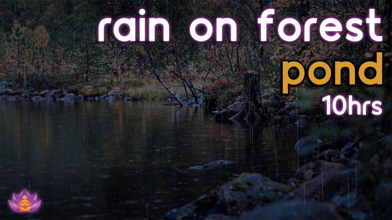 Rain on Pond | Rain on Leaves and Water No Thunder | Rain Sounds for ...