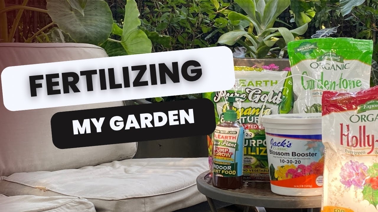 🌱 How to Fertilize Plants - How I Fertilize Everything 🌱 - YouTube