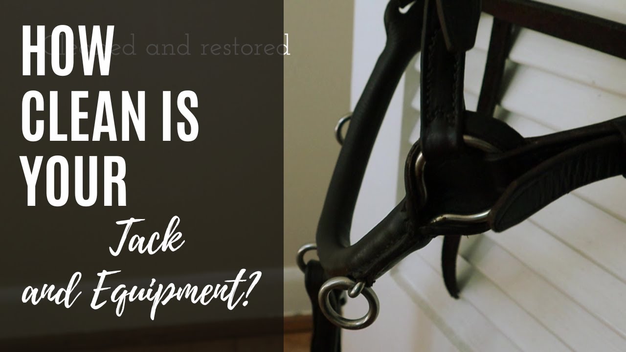 How to Clean and Restore Tack and Equipment | Equestrian Education ...