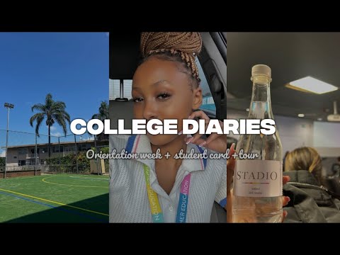 ORIENTATION WEEK : Stadio student + tour guides + student profile ...