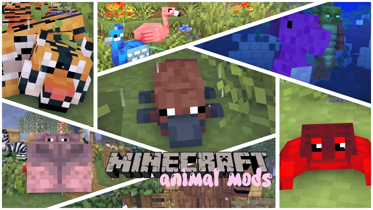 TOP 4 CUTE ANIMAL MODS🦒🐞🌷 - YouTube