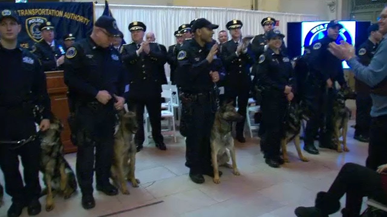 Officer-canine teams graduate from explosive detection program - YouTube