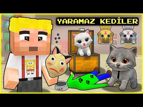 EFEKAN VE KEDİLERİ YARAMAZLIK YAPIYOR! 😂 - Minecraft