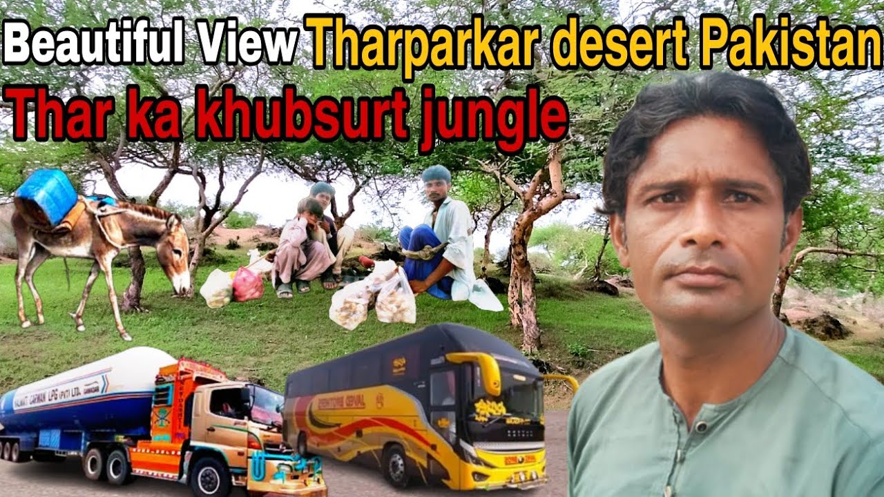 natural and beautiful view of thar desert Pakistan|donkeys|cows|animals ...