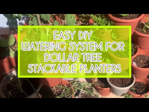 Easy DIY watering system for Dollar Tree Stackable Planters - YouTube