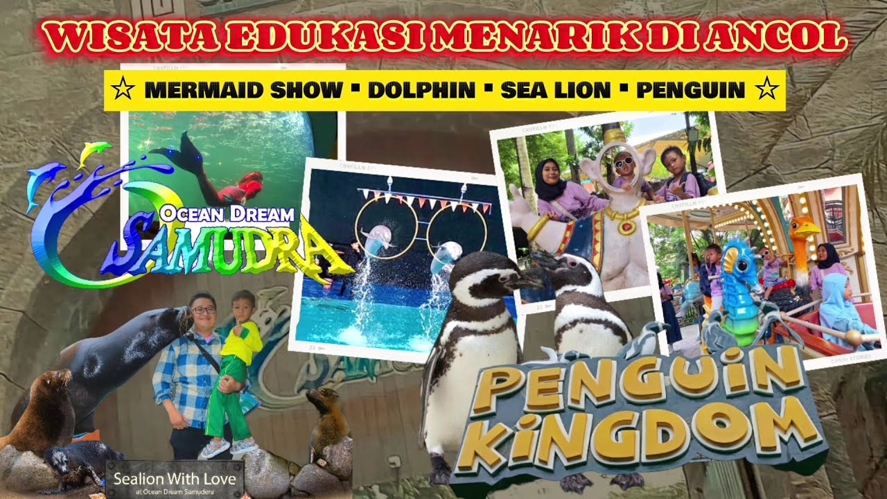 OCEAN DREAM SAMUDRA ANCOL INFO LENGKAP DAN TERBARU 2024 - YouTube