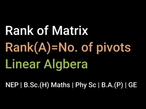 L22 | Rank of Matrix | Friedberg | Linear Algebra | NEP | B Sc Hons ...
