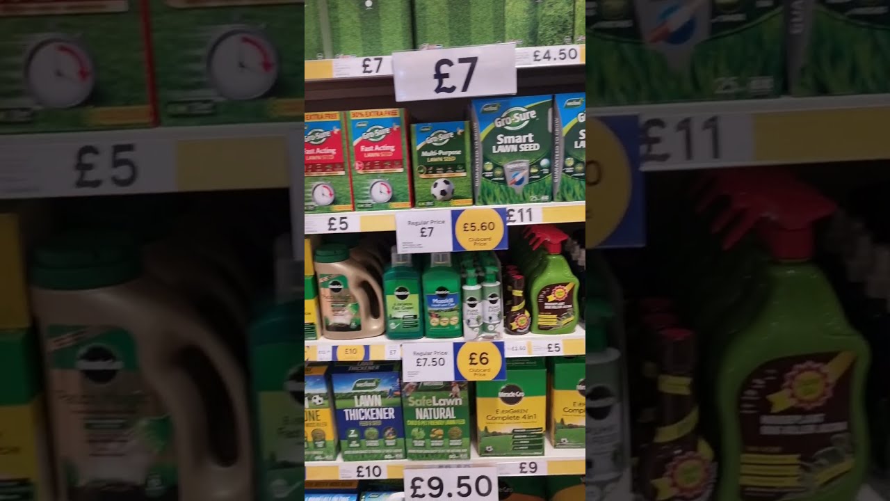 Best grass seed UK at Tesco lawncare products shorts grass turf lawncare lawn tesco bargain