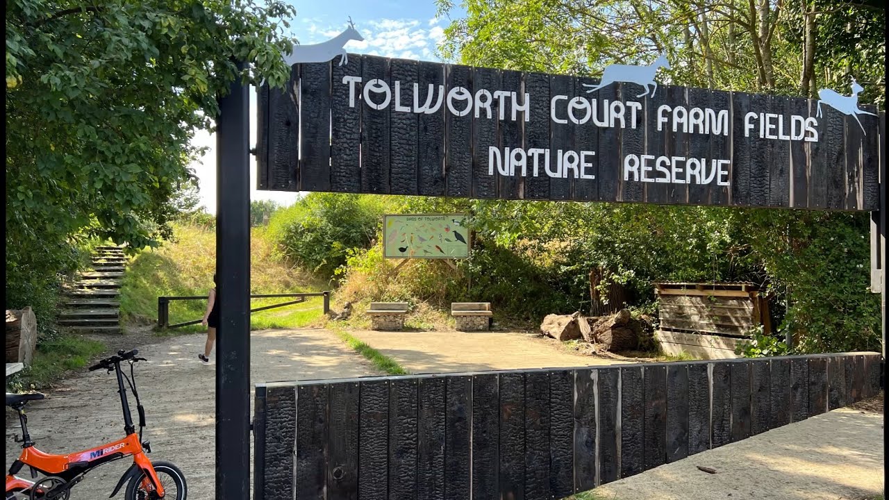 Tolworth Court Farm Fields, Surrey. With a 360 view of the area ...