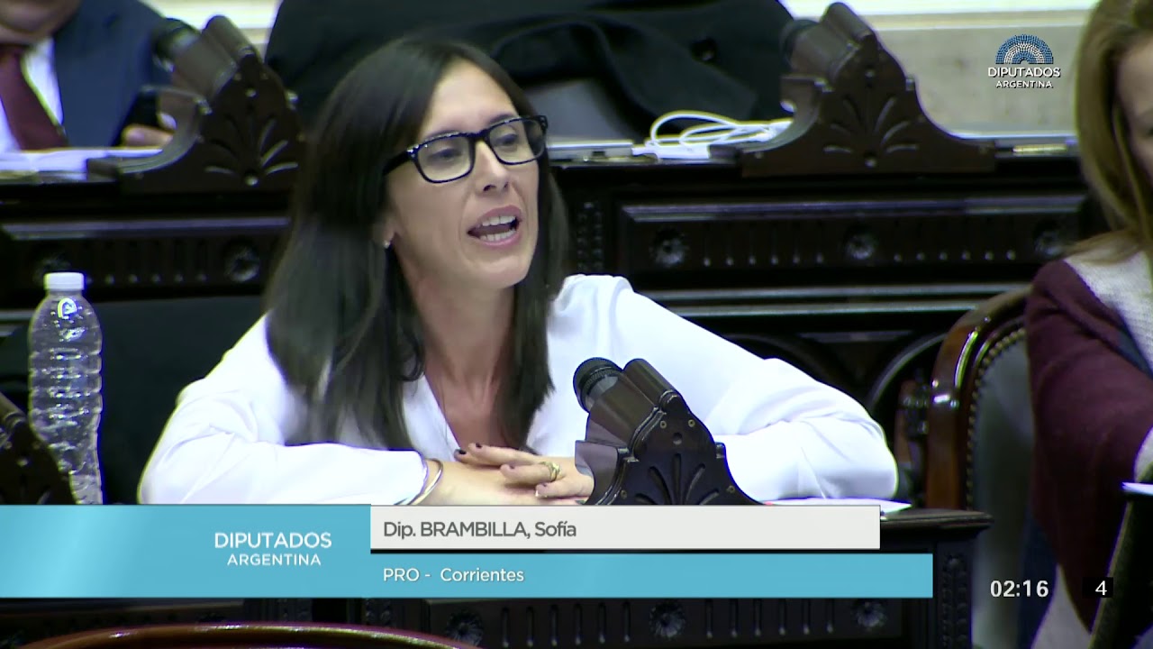 Diputada Brambilla Sofía - Sesión 13-06-2018 - PL - YouTube