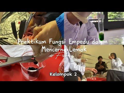 Praktikum Fisiologi Hewan | Fungsi Empedu Ikan dalam Mencerna Lemak ...