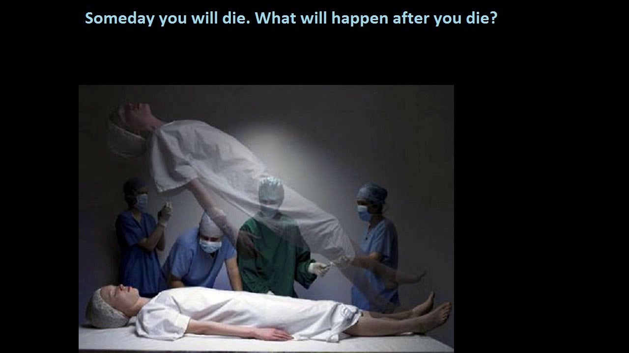 Reincarnation and different life forms for your soul after death ...