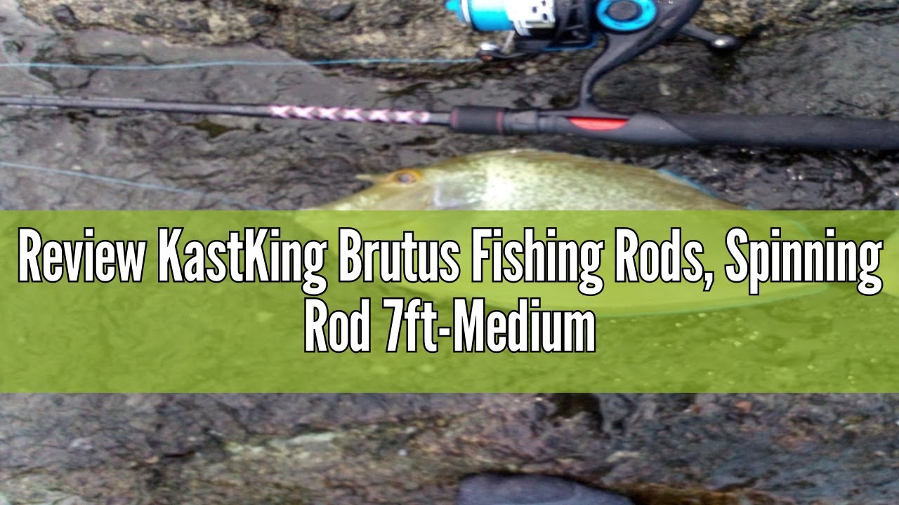 Review KastKing Brutus Fishing Rods, Spinning Rod 7ft-Medium - M Fast ...