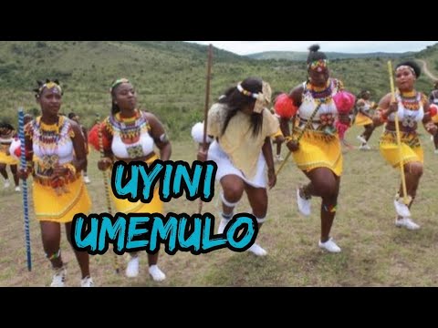 Uyini umemulo futhi wenziwelani? - YouTube
