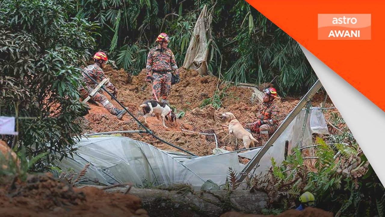 Tragedi Batang Kali | 12 lagi mangsa masih hilang - YouTube