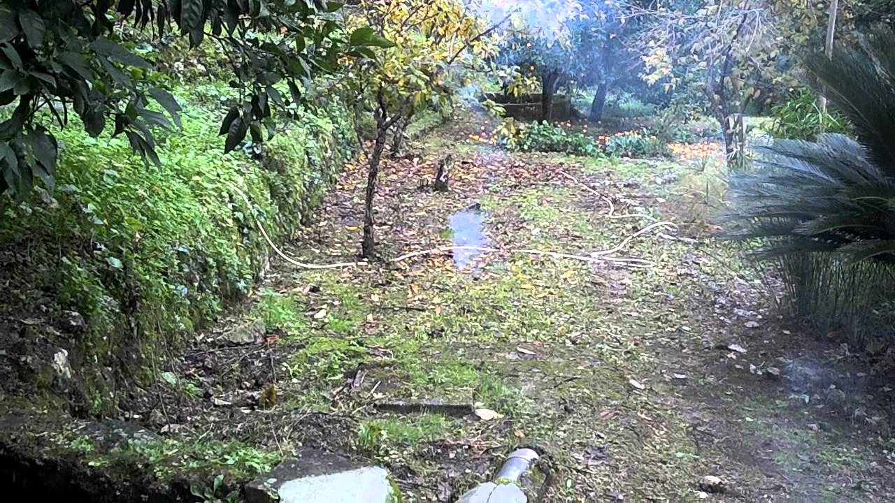 gourouna zeus - YouTube