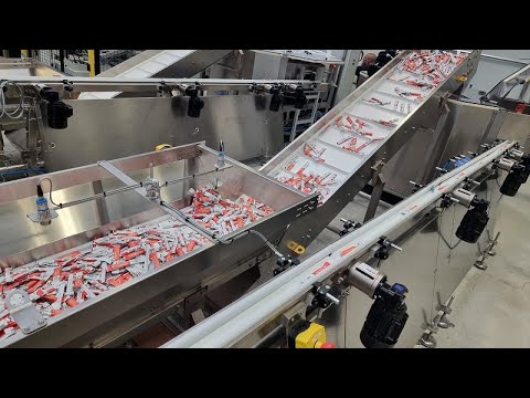 High Speed Feeding for Confectionery Bars Packaging - VariFeed™ - RNA ...