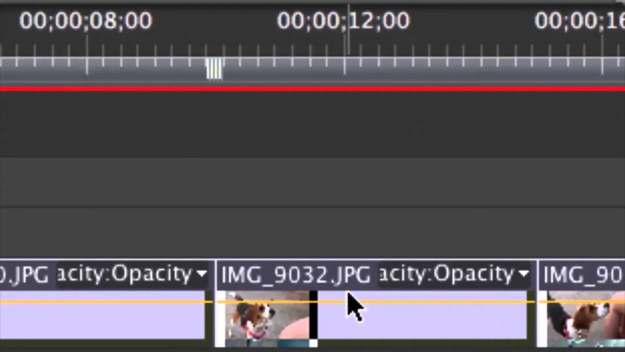How to Make a Photo CD With Background Music : CDs & Audio Conversions ...
