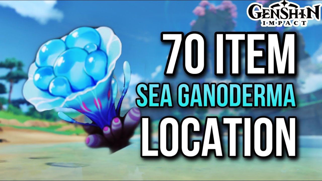 How to : Find 70 Sea Ganoderma Location - Yae Miko, Kazuha's Material ...