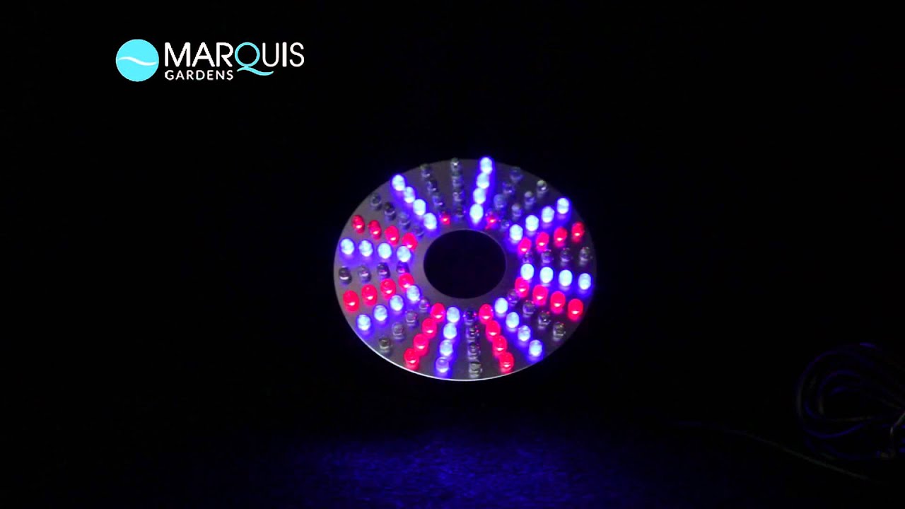 LED Ring Light Colour Changing 96 - YouTube