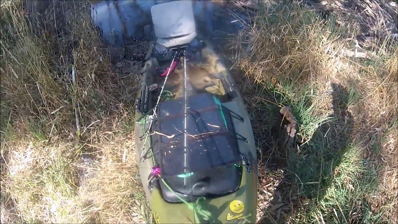 Kayak fishing for Murray Cod - YouTube