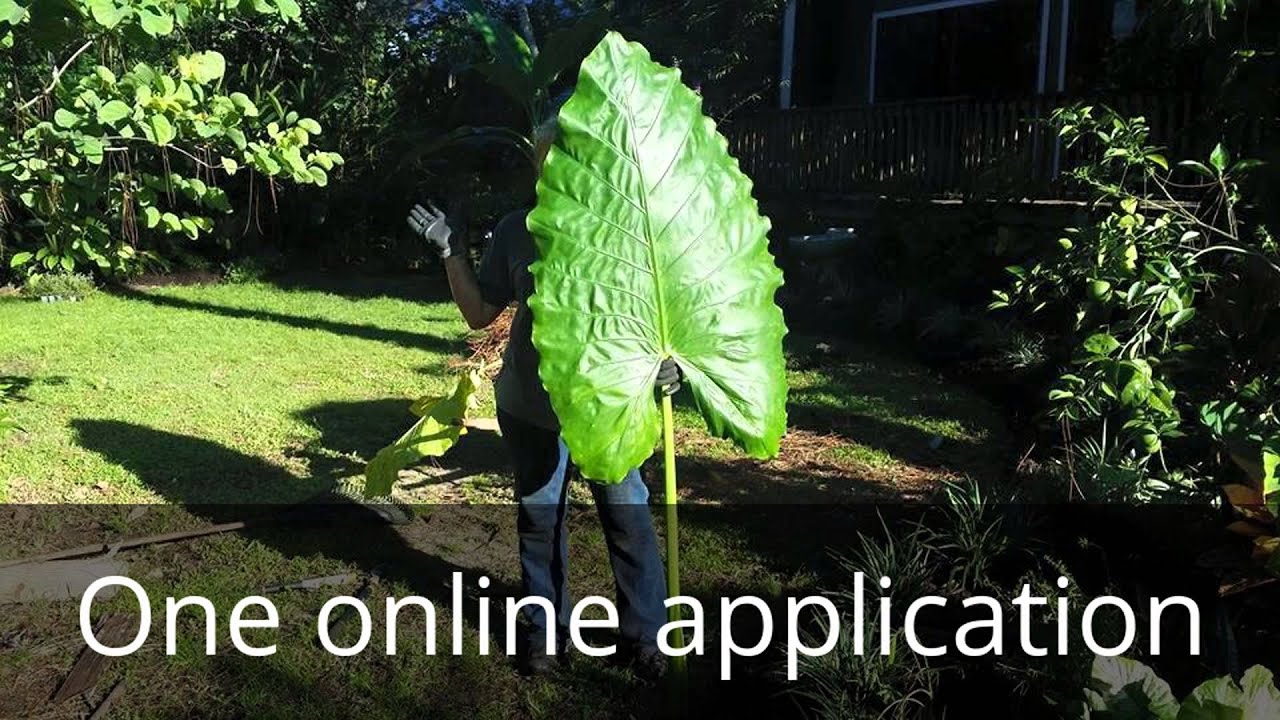 Copy of #MyProsperStory Lisa Rathmell Thank you Prosper!! - YouTube