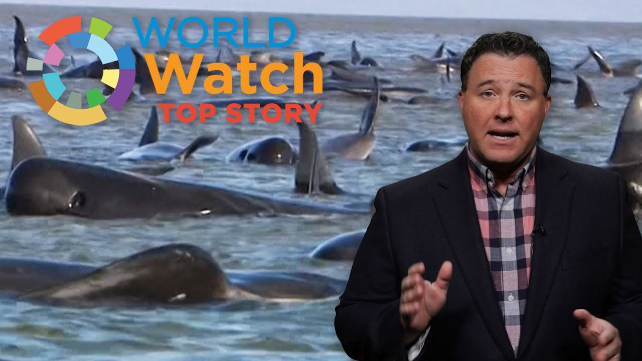 WORLD Watch Top Story Sept 24, 2020 - YouTube
