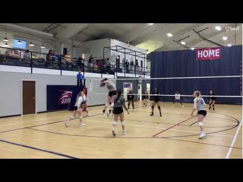 Taylor Morello - YouTube